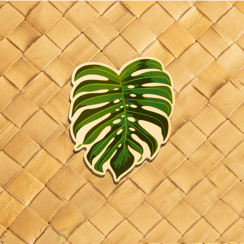 Monstera Sticker – Misha Hawaii Home